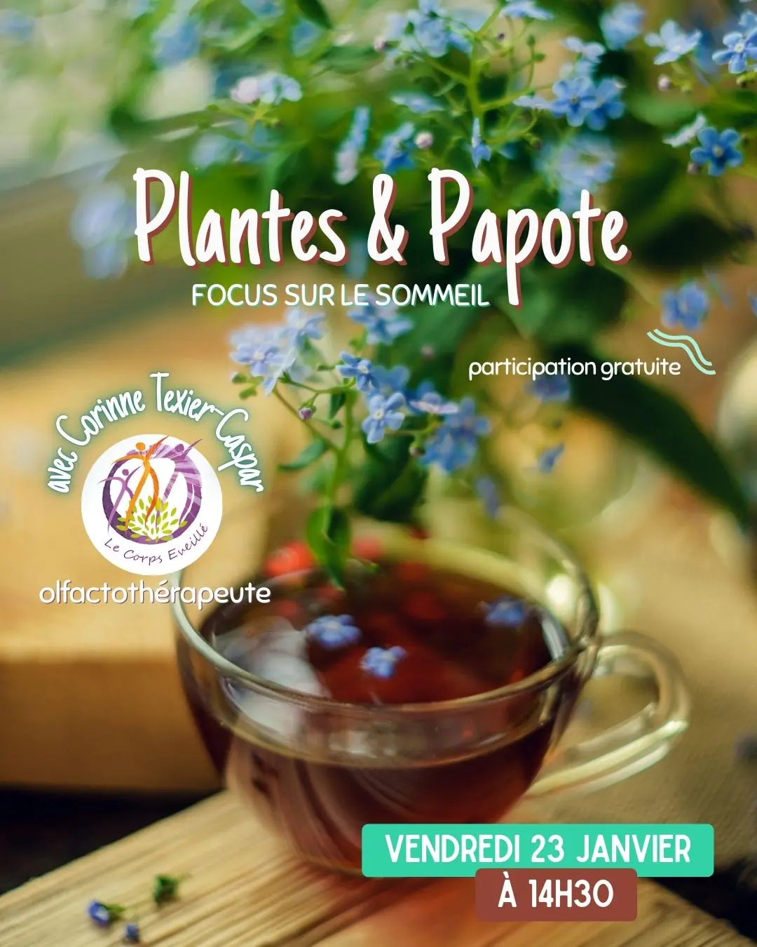 Plants and chat (La Couarde-sur-Mer) | Destination Île de Ré