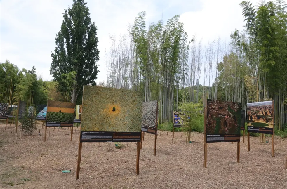 Jep 2026 : Exposition « La Terre Vue du Ciel » Yan Arthus Bertrand ...