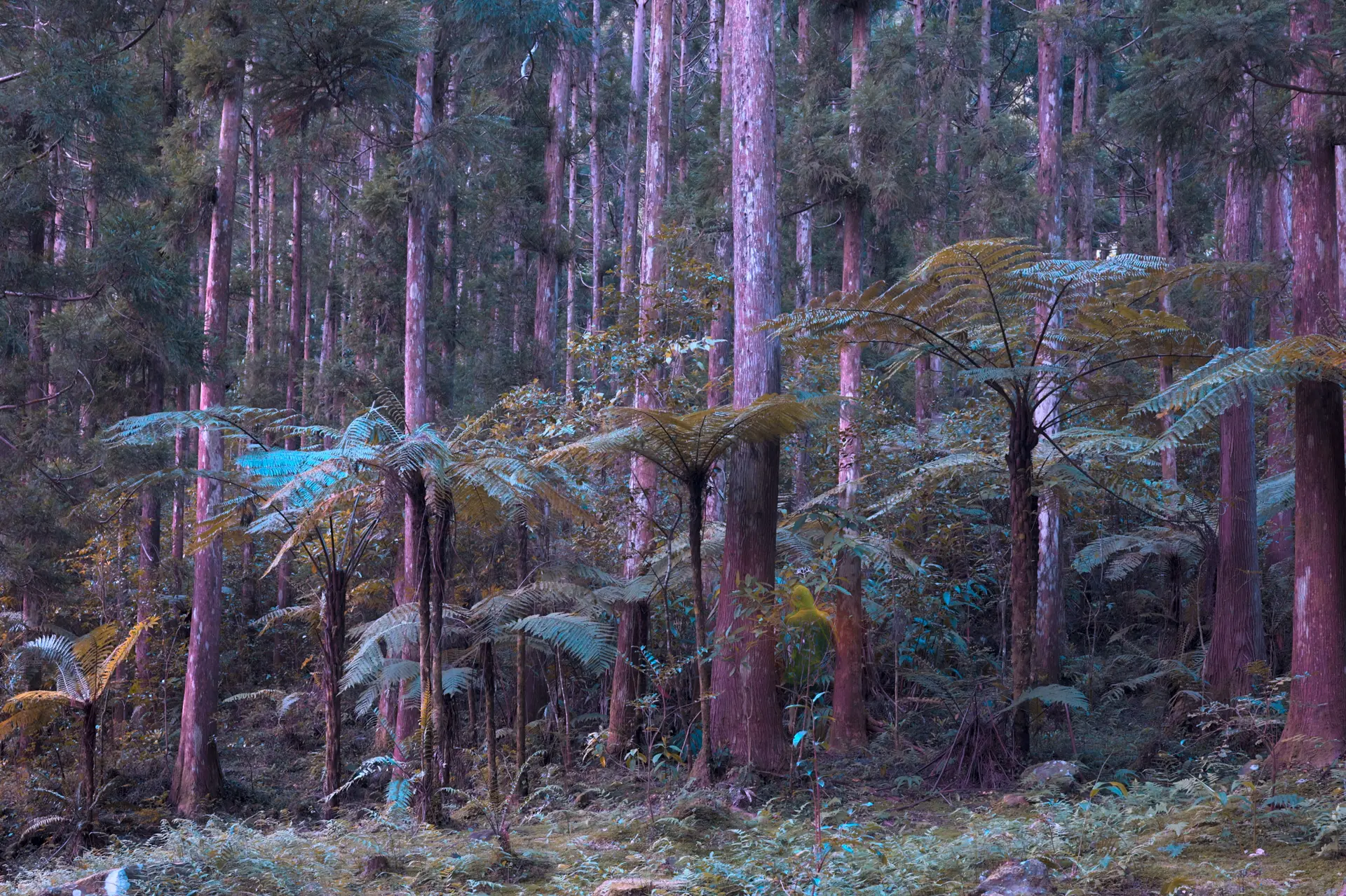 Exposition : Johann Fournier – INFRA_MONDES (Aix-en-Provence ...