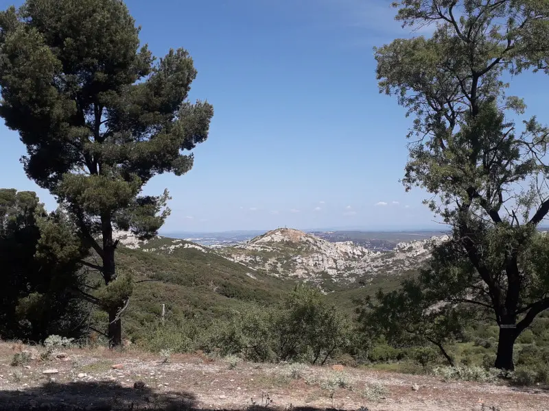 Sortie nature du Muséum : découverte de la flore et de la géologie du ...