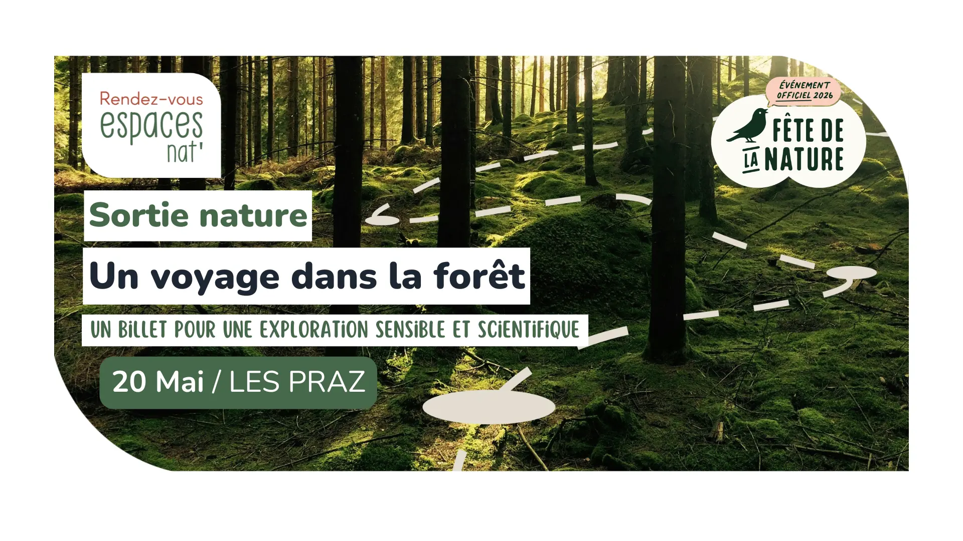 Nature outing – A journey through the forest (Chamonix-Mont-Blanc ...
