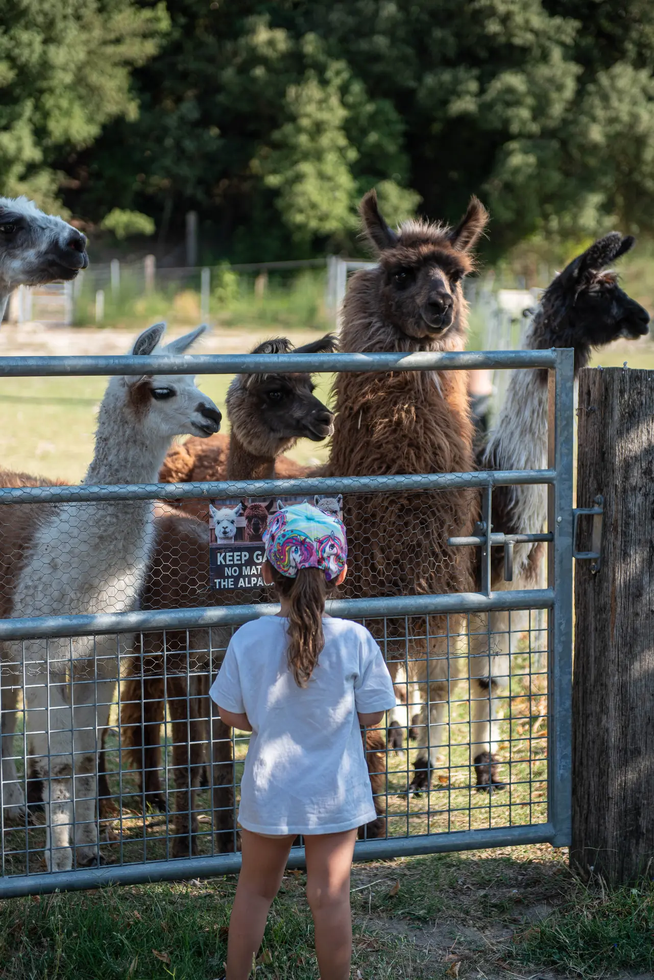 Visite à la Ferme d’Alcatama (Bollène) | Provence-Alpes-Côte d'Azur Tourism