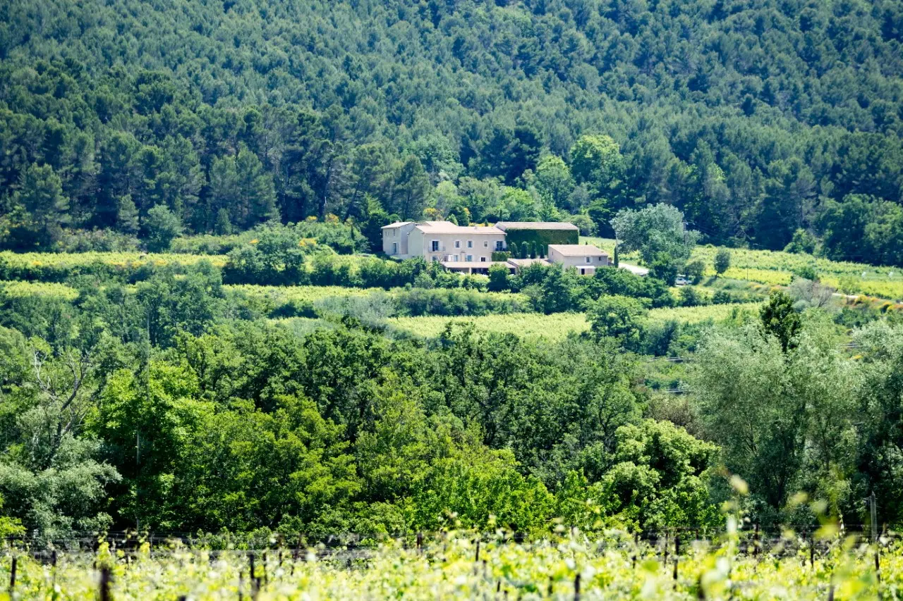 Sunsets Vignerons 2025 au Château Saint Pons (Villars) | Provence-Alpes ...
