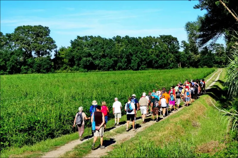 Sortie découverte et patrimoine :Les plaines de Lamotte du Rhône ...