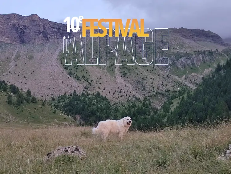 Festival de l’Alpage : Information et communication sur les chiens de ...