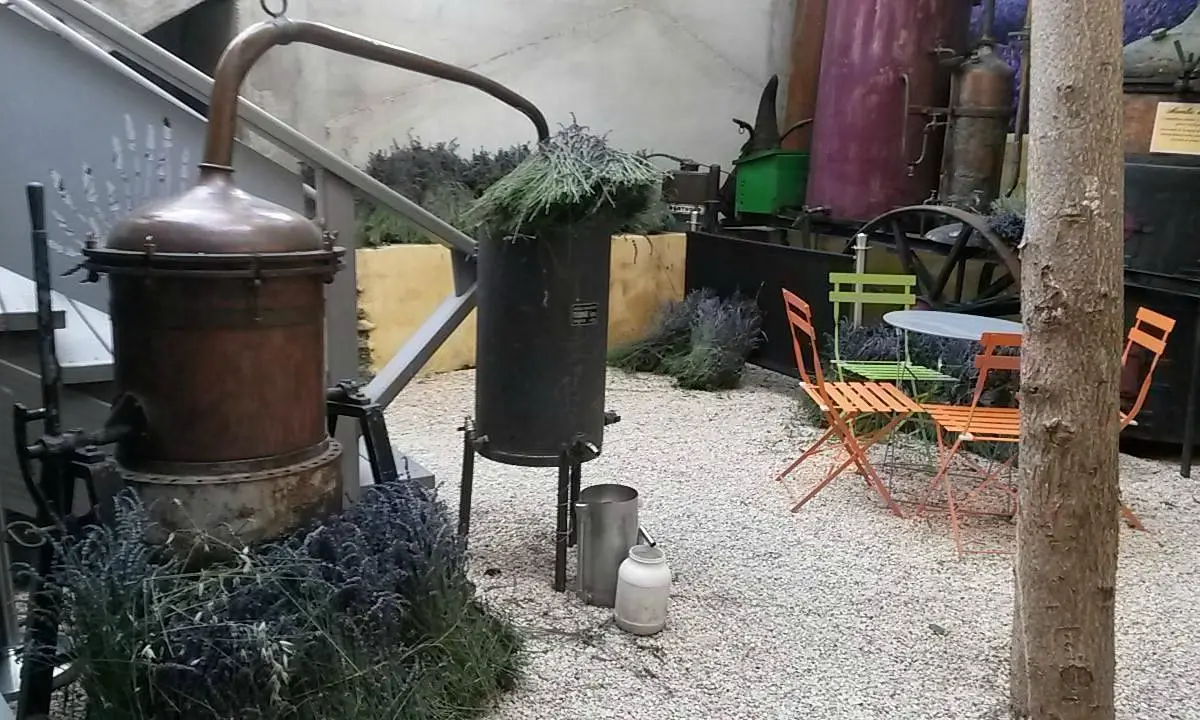 Distillation demonstration (Digne-les-Bains) | Provence-Alpes-Côte d ...