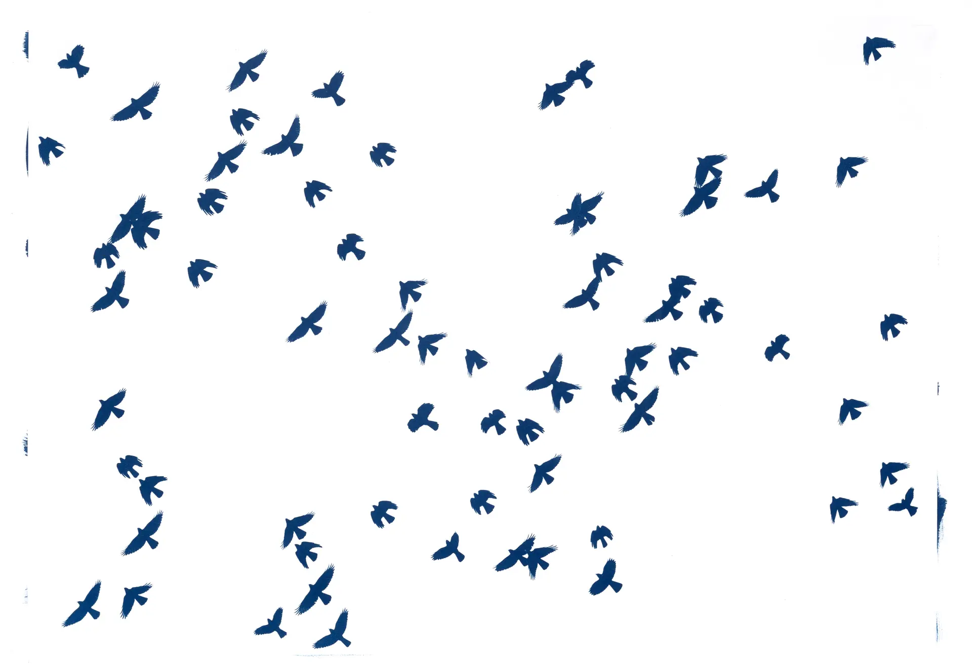 Exposition Fanny Zambaz – Cyanotypes des Alpes (Samoëns) | Haute-Savoie ...