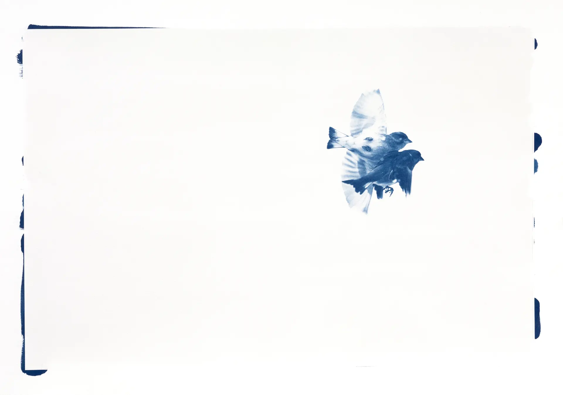 Exposition Fanny Zambaz – Cyanotypes des Alpes (Samoëns) | Haute-Savoie ...