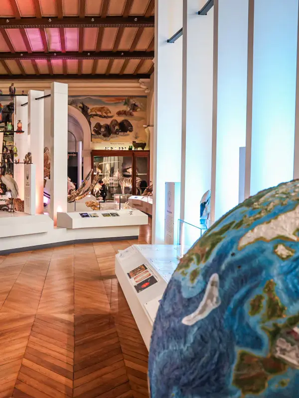 Escape game au Muséum (Marseille 4ème) | Oficina de Turismo de Marsella