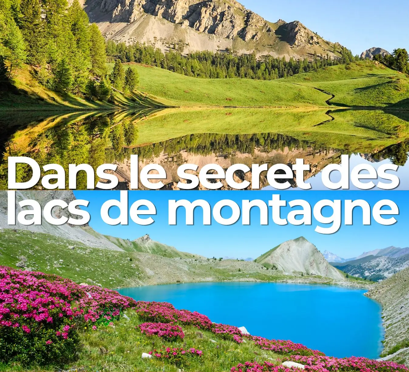 “Dans le secret des lacs de montagne” par Claudie Verner (Mont-Dauphin ...