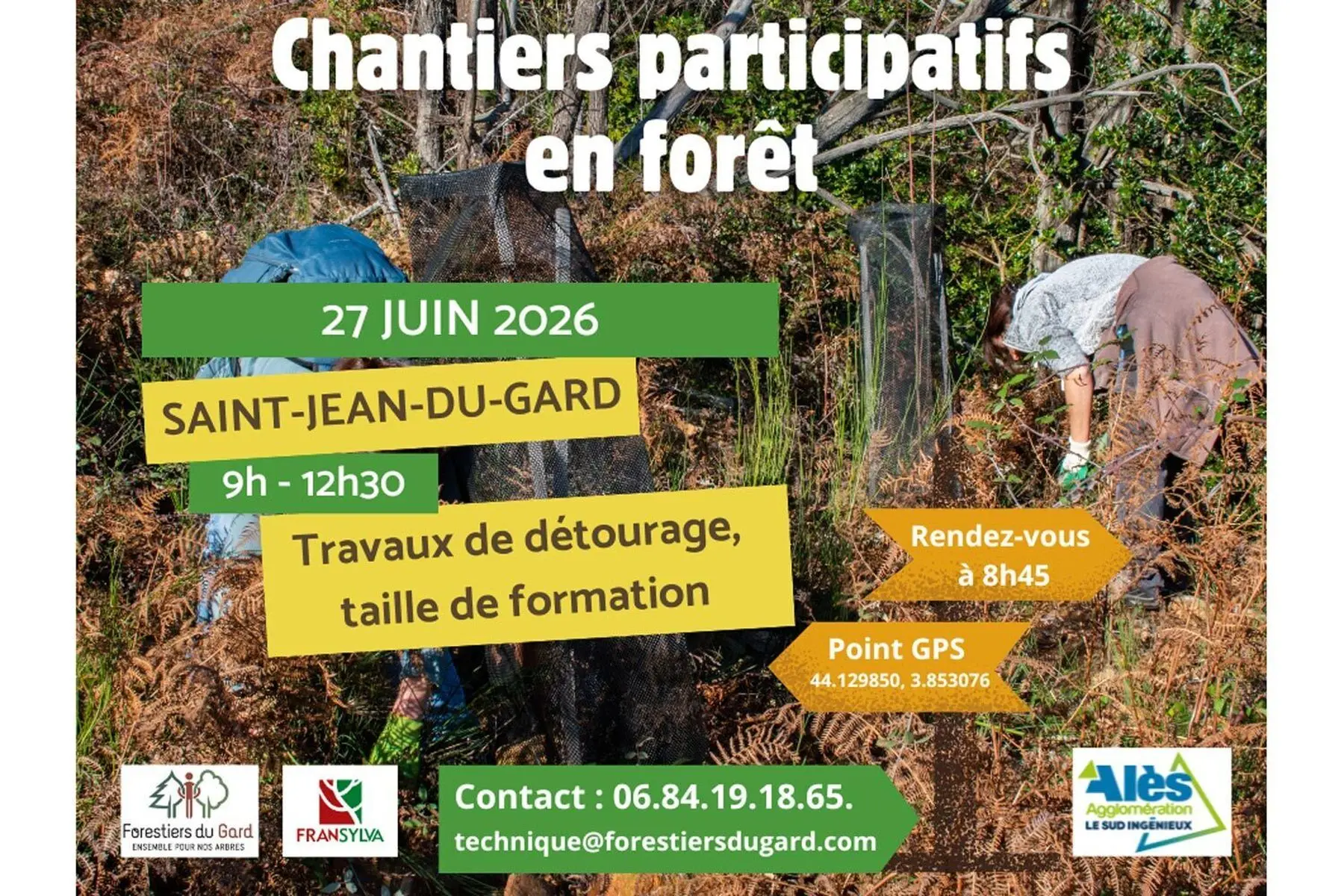 Les chantiers participatifs en forêt font leur grand retour ! (Saint ...