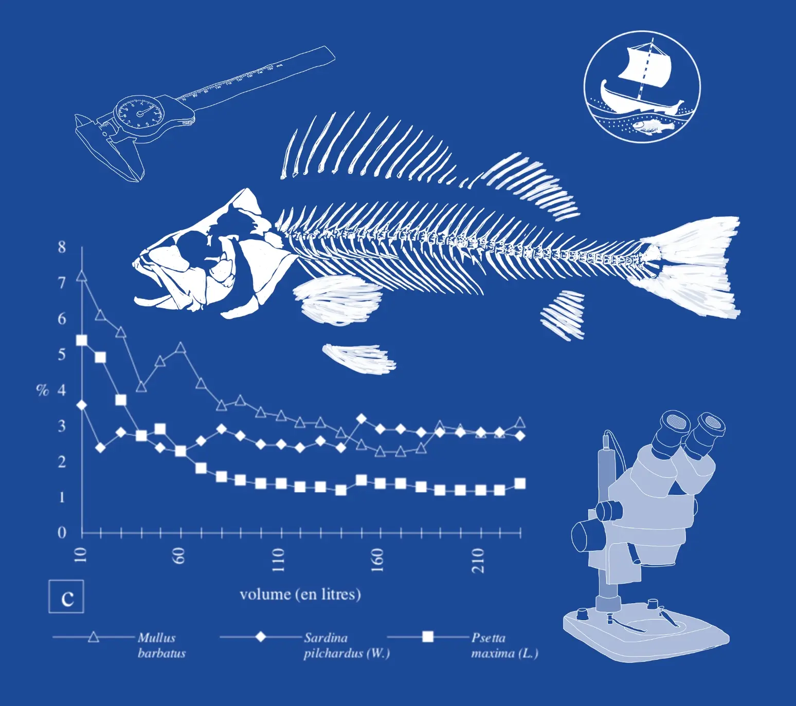 Histoire de la pêche de l’Âge du Bronze à la fin de l’Antiquité : un ...
