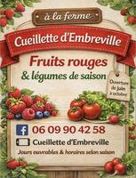 Cueillette d’Embreville (Embreville) | Destination LE TREPORT - MERS