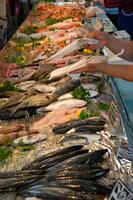 Street market in Fouras les Bains - Fouras | Office de Tourisme de ...