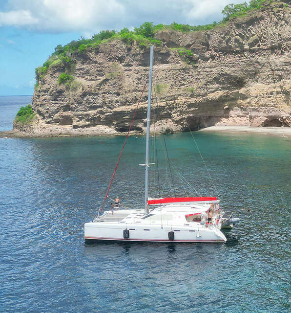 The marine turtles of Martinique