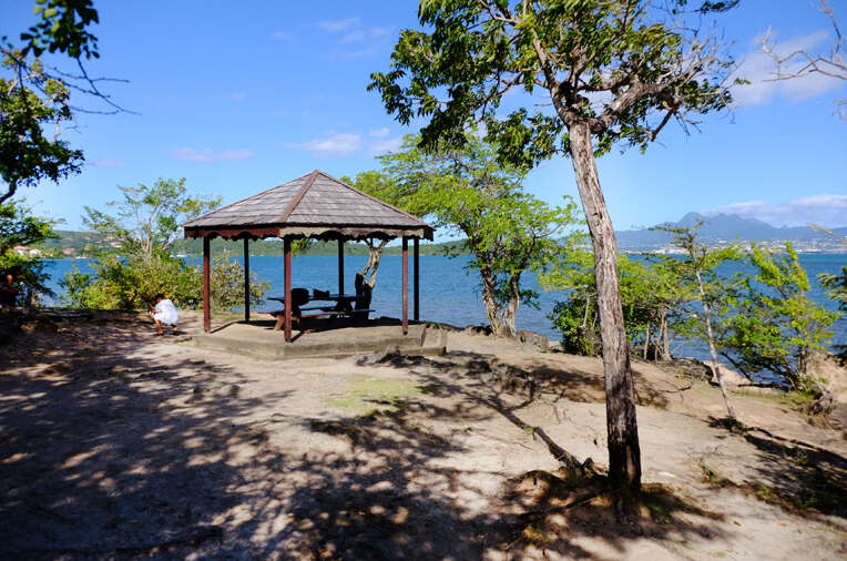 Forêt Vatable (Les Trois-Îlets) | Martinique Tour
