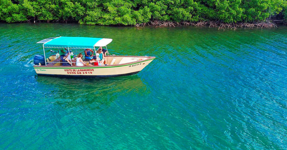 Excursion mangrove Martinique avec Le Mantou | Martinique Tour
