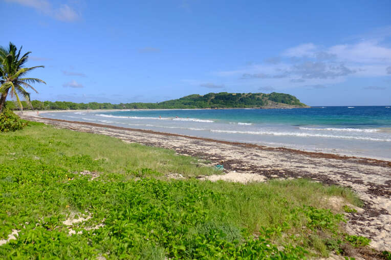 Plage de l’Anse Trabaud (Sainte-Anne) | Martinique Tour