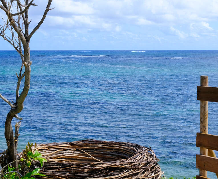 La Trace des Caps 3 : Cap Chevalier – Anse Trabaud (Sainte-Anne ...