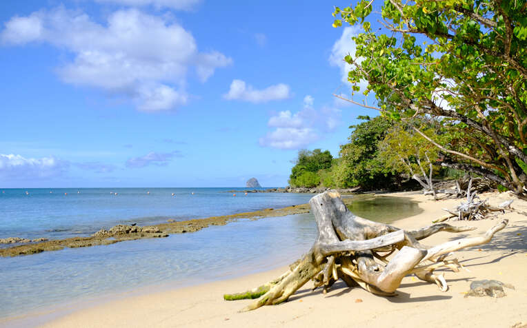 Plage de l’Anse Mabouya (Sainte-Luce)