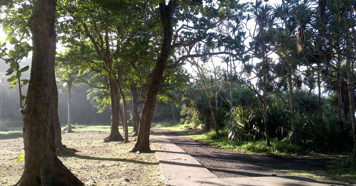 Boucle de la pointe des cascades (Sainte-Rose) | Île de la Réunion Tourisme