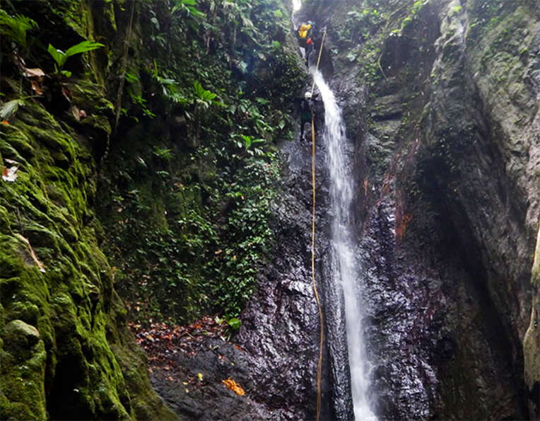 Rivière Grand’Rivière (Grand’Rivière) | Martinique Tour