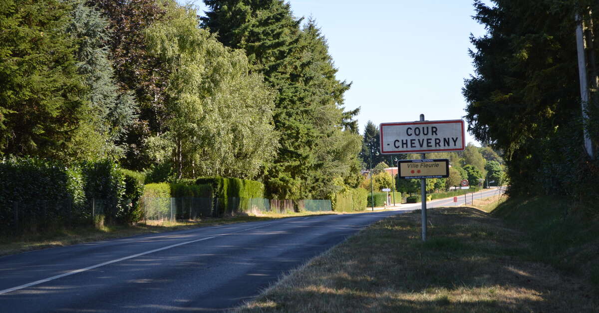 Les bruyères de Sérigny de Cour-cherverny (Cour-Cheverny) | Oficina de ...