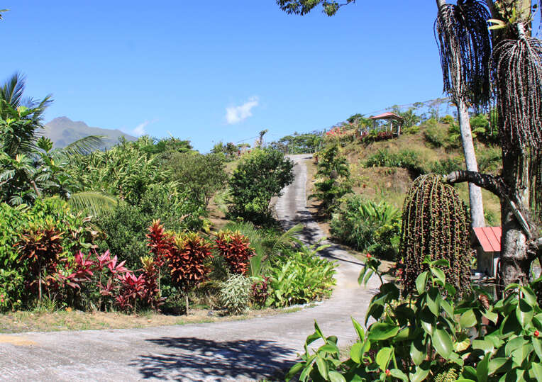 Plantation Beauvallon au Morne Rouge | Martinique Tour