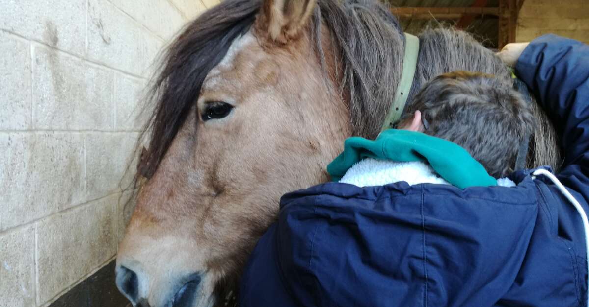 Centre Equi-handi - Béthune | Office de Tourisme de Bethune-Bruay