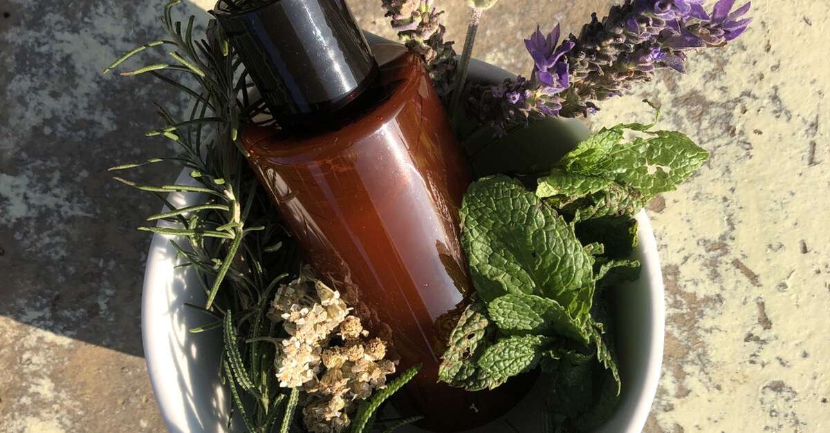 Atelier ” Quelles plantes pour ta peau ? ” par Mélanie créatrice des ...