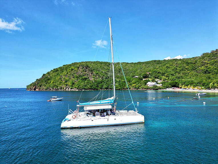 Excursion Catamaran sur la Créole Cata : dauphins & Diamant – départ ...