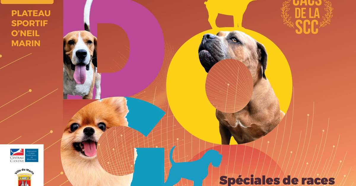 Madinina Dog Show (Le Marin) | Martinique Tour