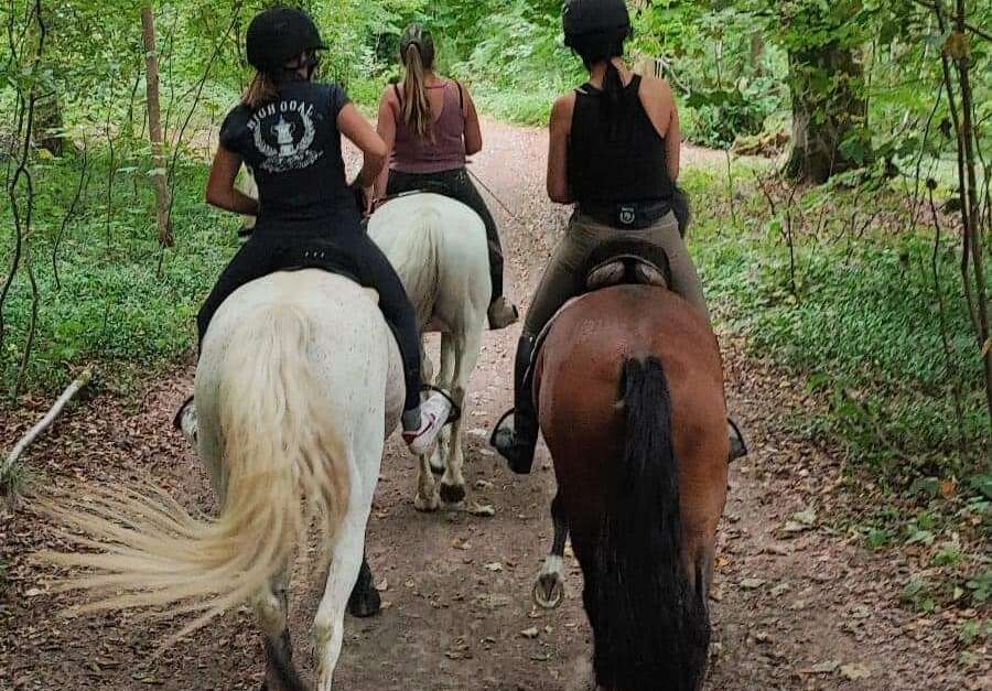 Au Cirque d'Heidy - Ligny-lès-Aire | Office de Tourisme de Bethune-Bruay