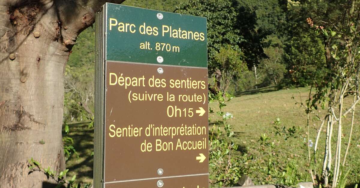 le Bois de Bon Accueil (Saint-Louis) | Île de la Réunion Tourisme