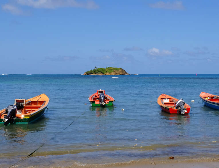 Îlet Tartane (La Trinité) | Martinique Tour