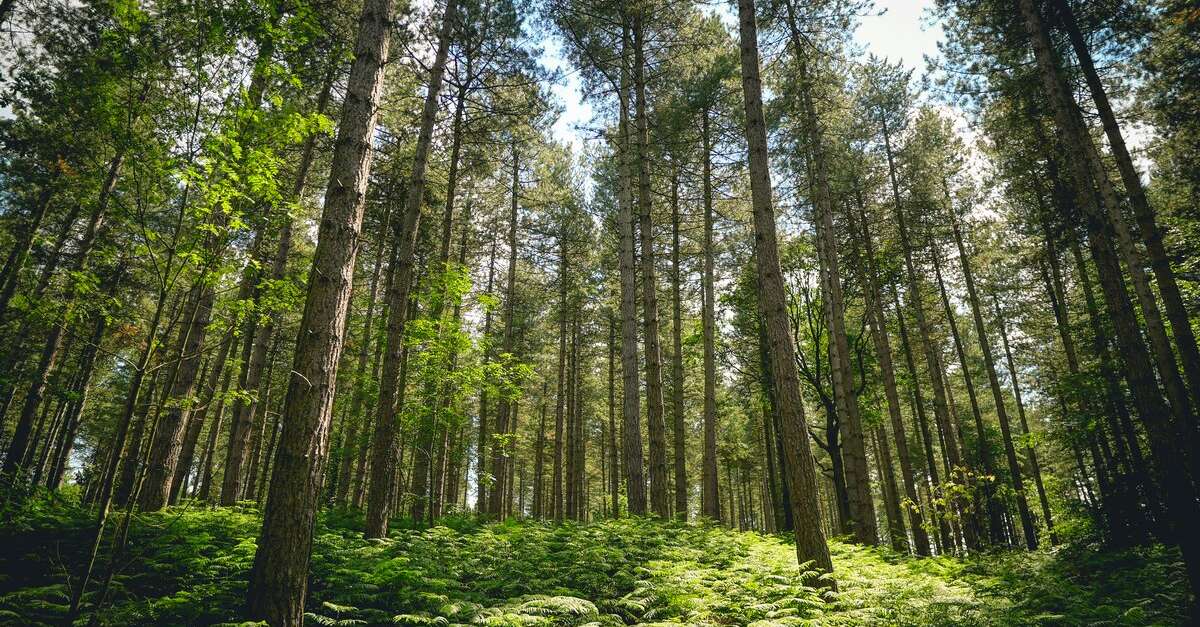 Promenade de Hermalle (Hermalle-sous-Huy) | Maison du Tourisme Terres ...