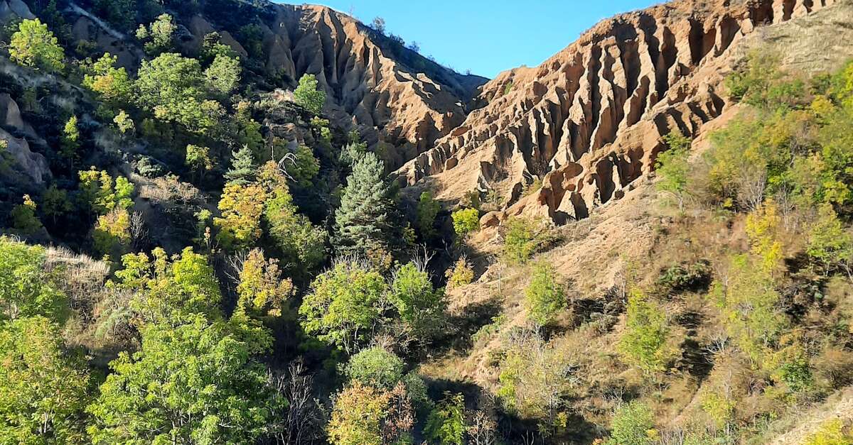 PR 86 - LA BOUCLE DES ORGUES - Osséja | Pyrénées Cerdagne Tourisme