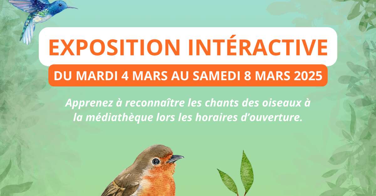 Observations des oiseaux - Du 4 au 8 mars 2025 - Bretteville-sur-Laize ...