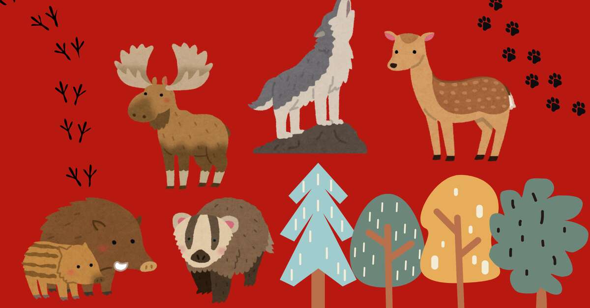 Bas les pattes, visite et atelier - Vieux | Office de Tourisme de la ...