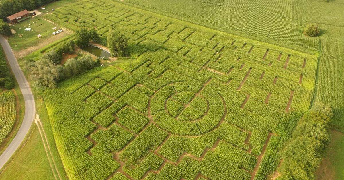 Labyrinthe de Maïs des Châteaux (Vézac) | Sarlat Tourisme - Périgord Noir