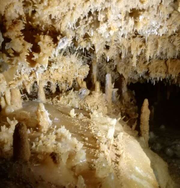 Visite de la Grotte du Grand Roc à la lampe tempête (Les Eyzies ...