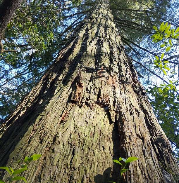 Map of perigord dordogne france - tolfpat