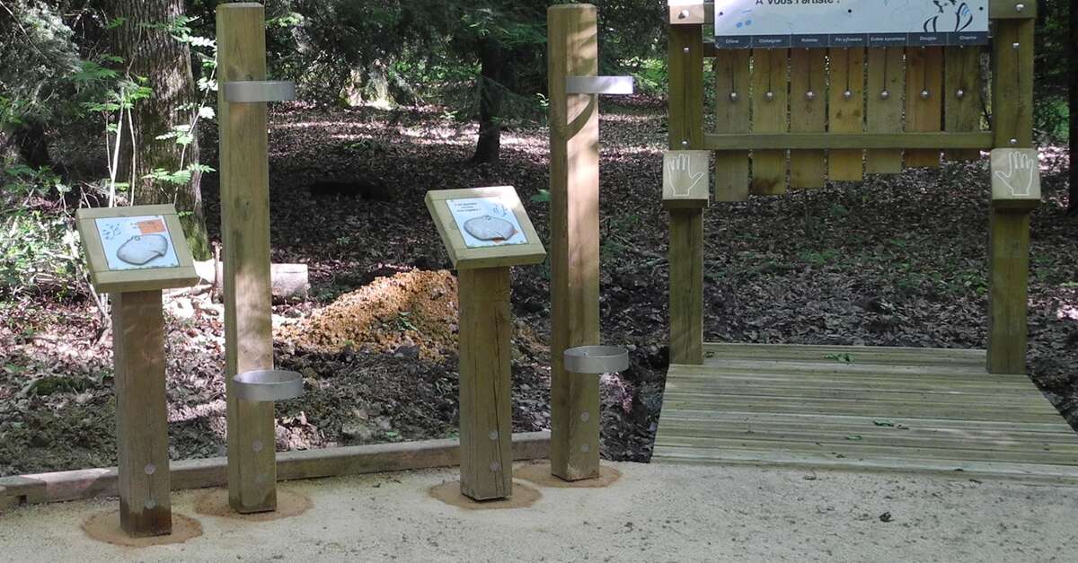 Sentier sensoriel de l'Orée du Bois - Senonches | Parc Naturel Régional ...