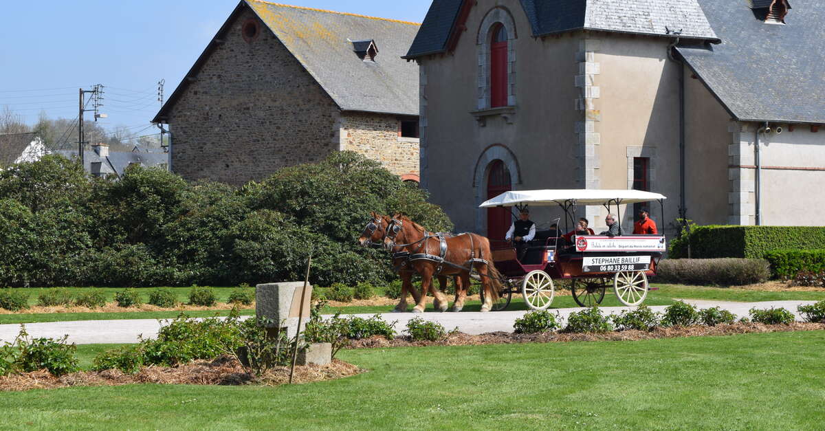 Visite découverte et balade en calèche - Lamballe-Armor | Tourism ...
