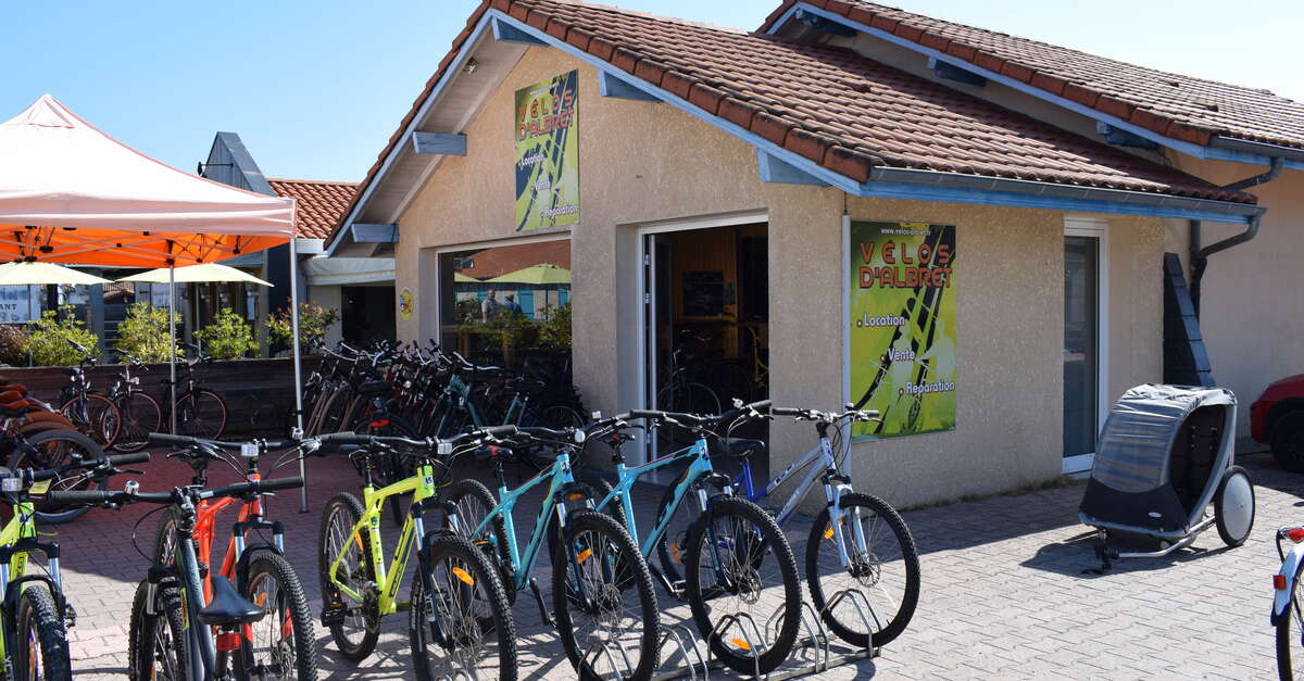 Vélos d’Albret (Leon, Léon) | Côte Landes Nature Tourisme