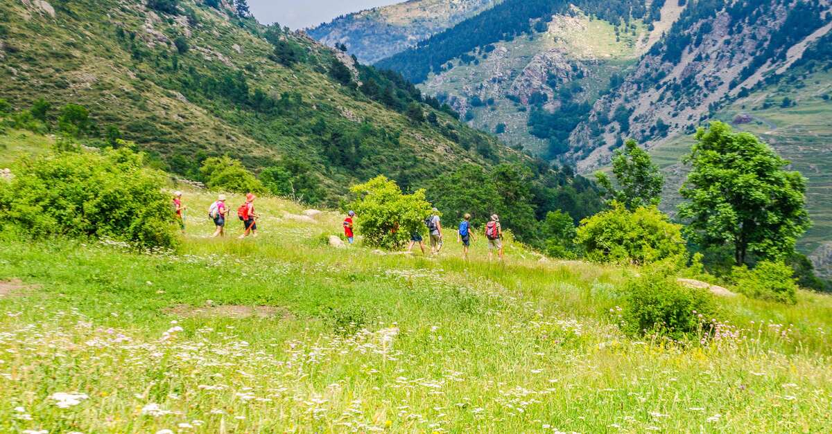 RESERVE NATURELLE DE MANTET - Mantet | Conflent Canigo Tourisme Le Canigou
