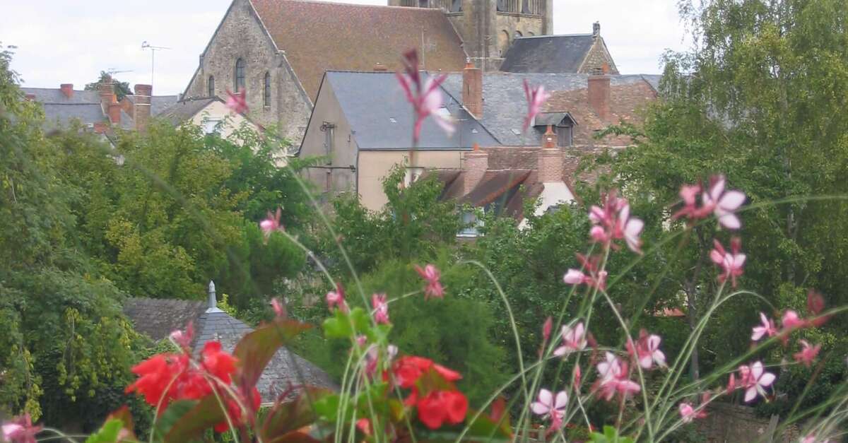 VISITE GUIDÉE DE BAZOUGES PAR UN GUIDE-CONFÉRENCIER (Bazouges Cré sur Loir) | Vallée du Loir ...