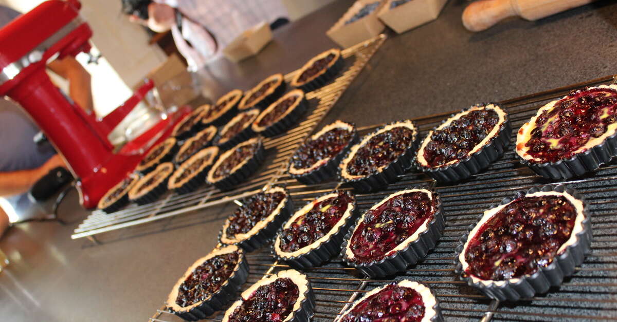 DÉCOUVREZ L’EXPLOITATION DE PETITS FRUITS ROUGES (Vaas) | Vallée du ...