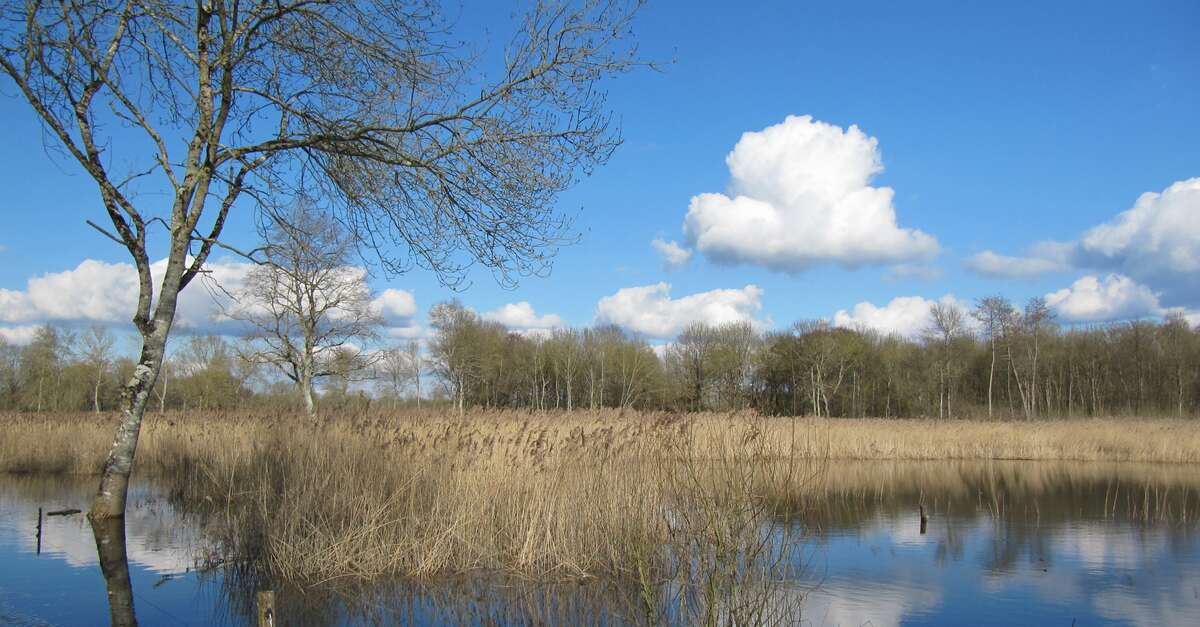 Cré-sur-Loir – le circuit bois et marais (Bazouges Cré sur Loir ...