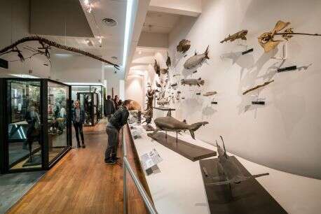 Muséum-Aquarium de Nancy (Nancy) | Lac de Madine - Ihr Freizeitzentrum ...